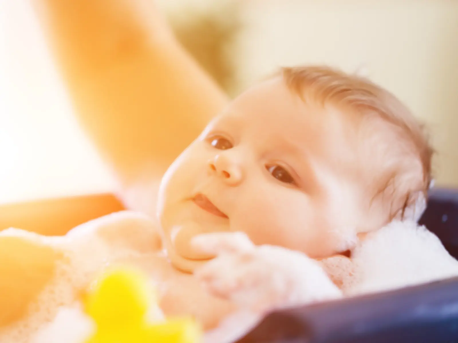 BIS News | BORN Ontario