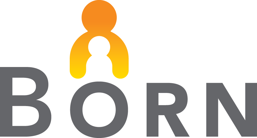 Data and Information Quality Framework | BORN Ontario