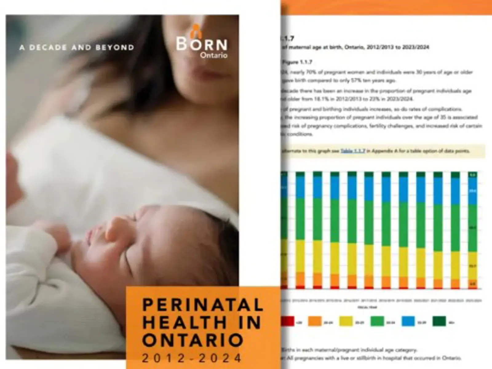 Reports | BORN Ontario