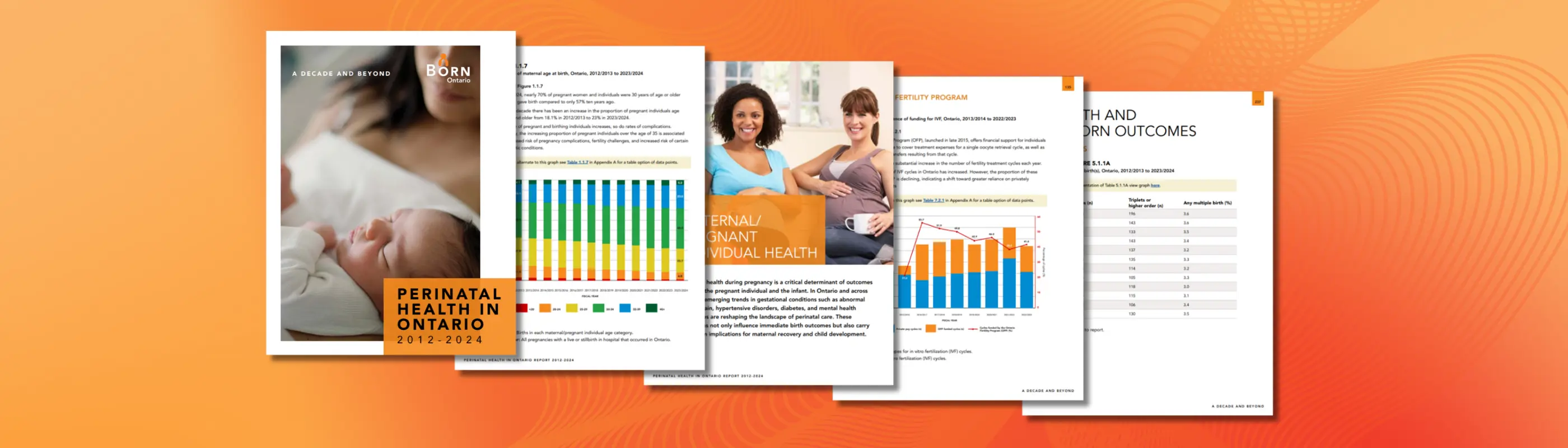 A Decade and Beyond: Perinatal Health in Ontario Report 2012–2024 ...